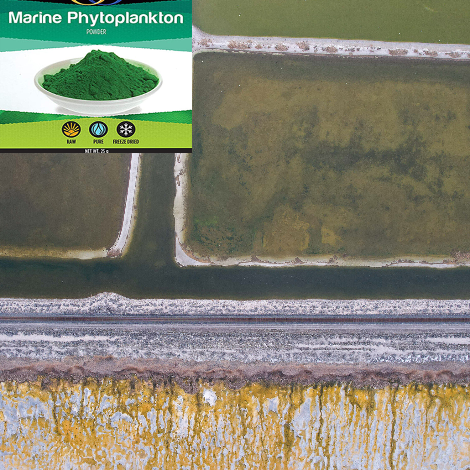 Optimally Organic Raw Marine Phytoplankton Powder Herbal Supplement ...