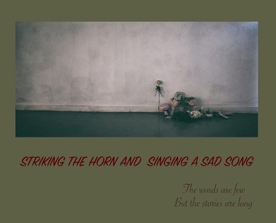 Striking the Horn and Singing a Sad Song by Jerry Lee Hardcover Book ...