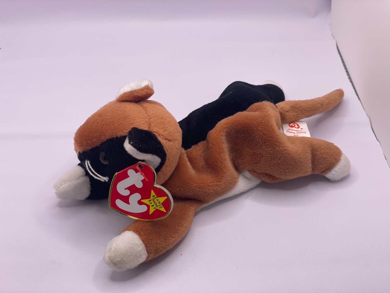 Chip The Cat Beanie Baby, ranks #31 of 125 | eBay