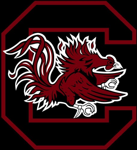 South Carolina Gamecocks stencil logo - 10 mil mylar reusable pattern ...