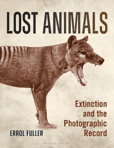 Errol Fuller Lost Animals (Paperback) (UK IMPORT) | eBay