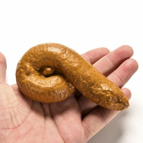 Fake Poop Prank Realistic Poo Joke Gag Trick Disgusting Toy Ugly Funny ...