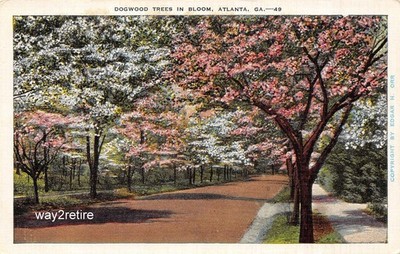 Postcard TnT Atlanta Dogwood Trees In Bloom Georgia | eBay