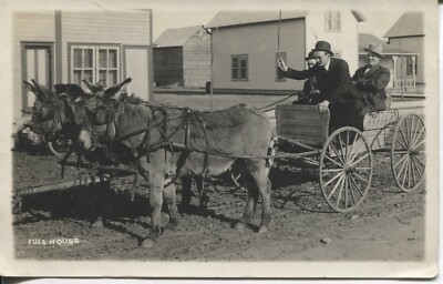 Real Photo Postcard RPPC Men in Wagon Whipping Mules, No Results c.1910 ...