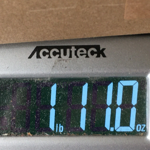 Roxy Surf Shoes Womens 8 High Top Wedge Sneakers White Fabric Lace Up ...