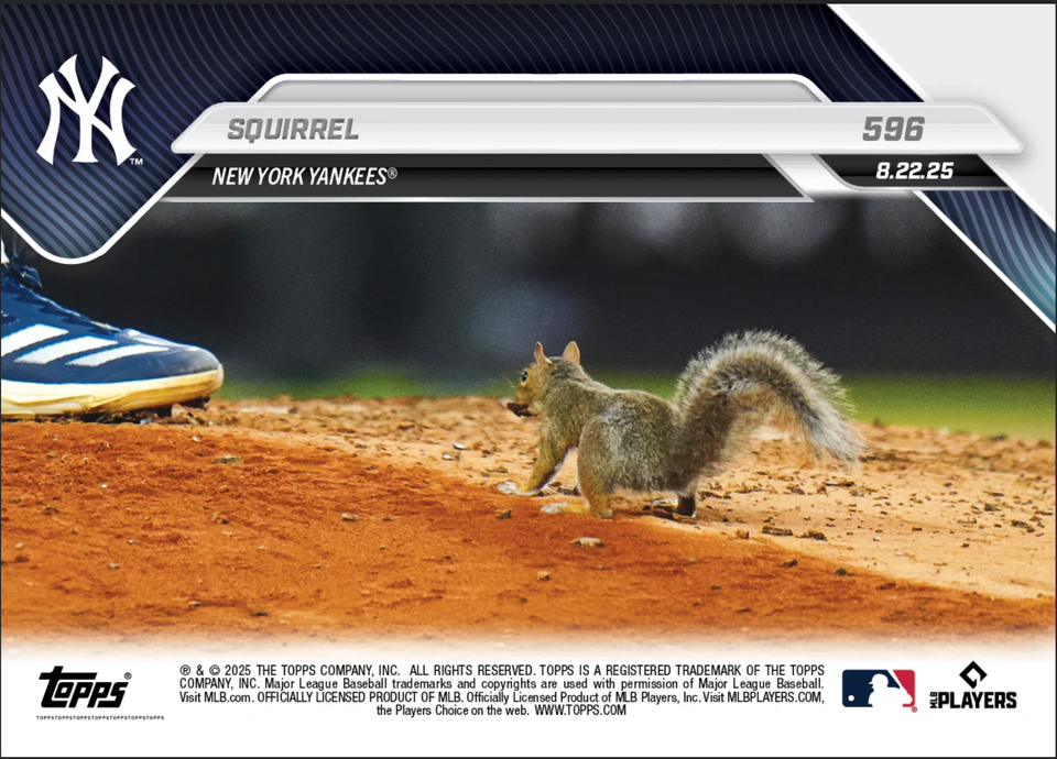 Squirrel - 2025 MLB Topps NOW® - Card 596 - NY Yankees PRE-SALE | eBay