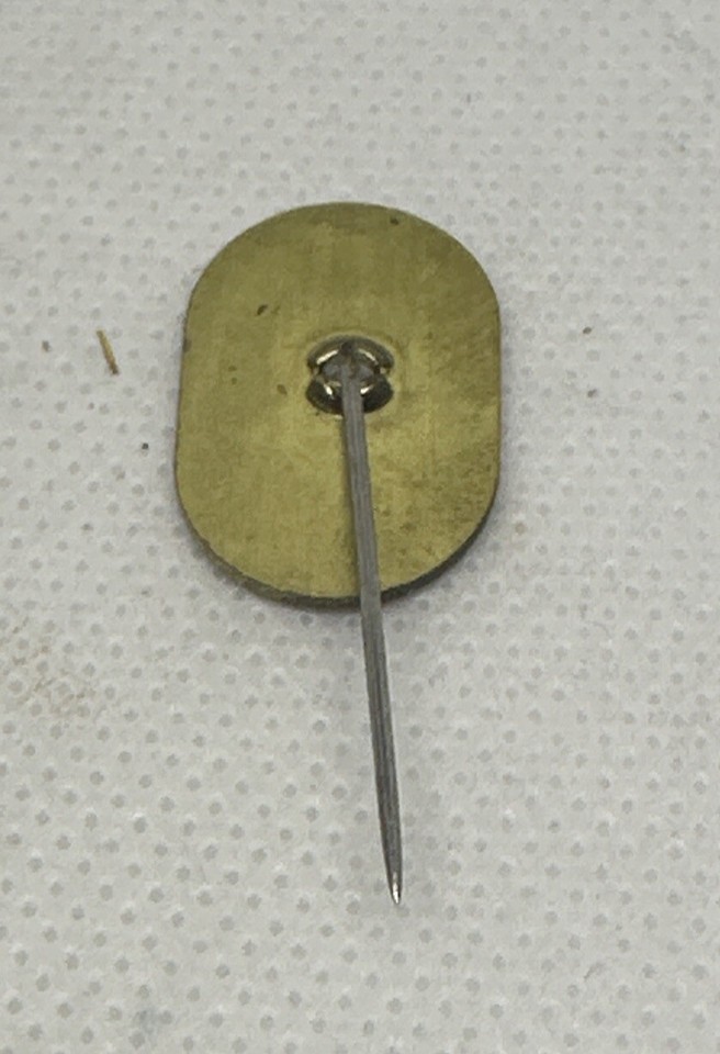 Austria Olympic Pin Badge Noc From 1984 Los Angeles Olympian GAMES | eBay