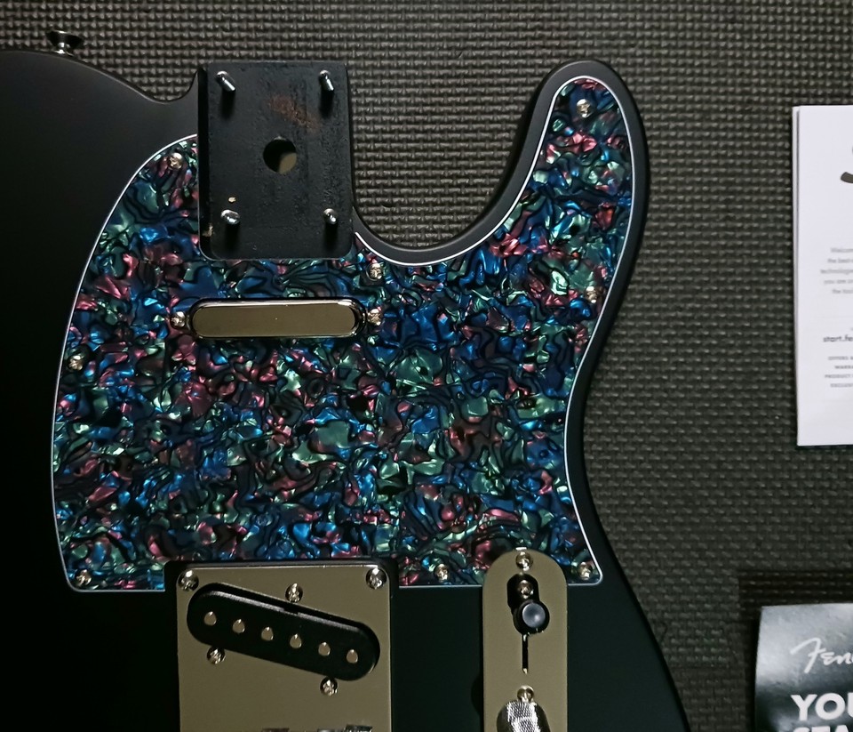 New Fender Squier Tele Loaded Custom Body SN#CRNG25018044 | eBay