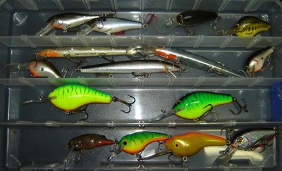 Bagley's Tackle Box Lures (You Choose, Your Choice, You Pick) Bagley | eBay