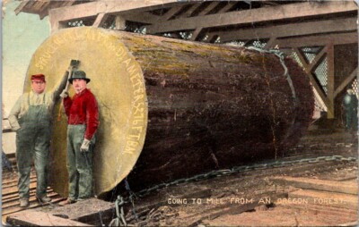 Postcard Two Loggers Stand next to Spruce Log Going to Mill Oregon OR ...