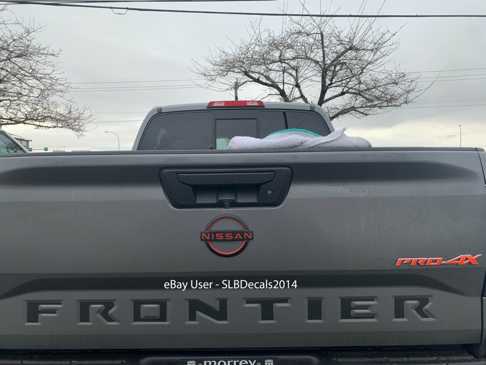 FITS 2022 2023 2024 Nissan Frontier Tailgate PRO4X Emblem Decals | eBay