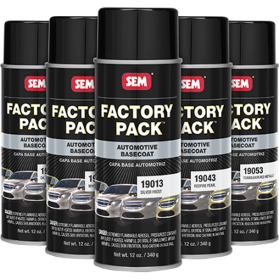 SEM Factory Pack: 19243 Galaxy Gray Metallic | eBay