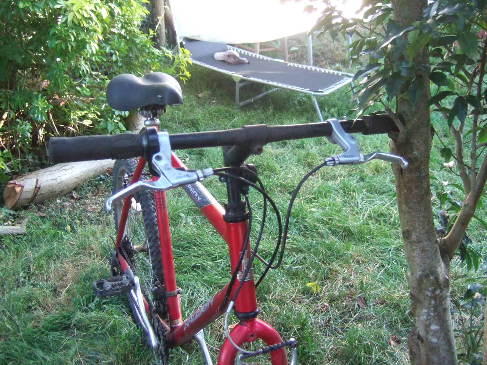 RALEIGH FIREFLY 15 GEAR SHIFT MOUNTAIN BIKE | eBay UK