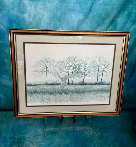 Framed Print of Barn Owl Watercolour Signed by the Artist R A Massey ...