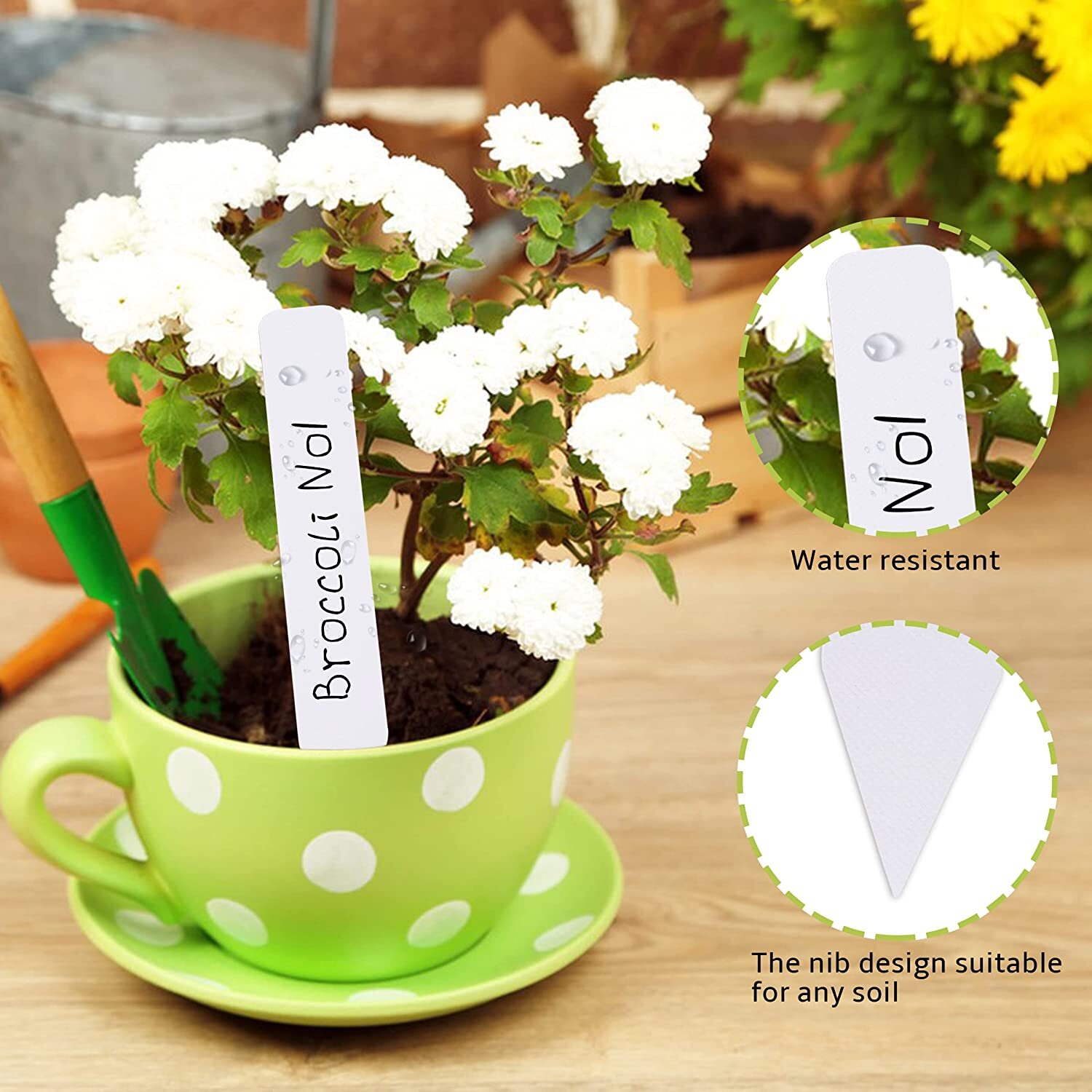 Plant Labels 300Pcs 4" Plastic Plant Name Tags for Seedlings Garden ...