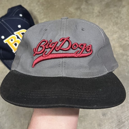Big Dogs Hat Lot Of 2 Vintage Y2K Embroidered Logos Baseball Cap ...