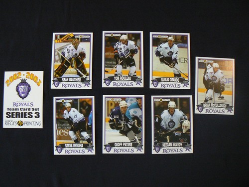 2002-2003 Reading Royals (ECHL) Hockey Series 3 Partial Team Card Set ...