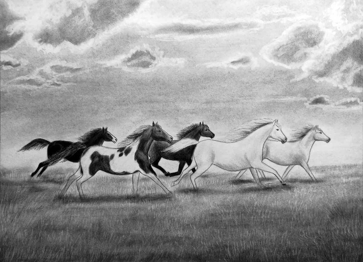 Pencil Drawings Of Horses Running