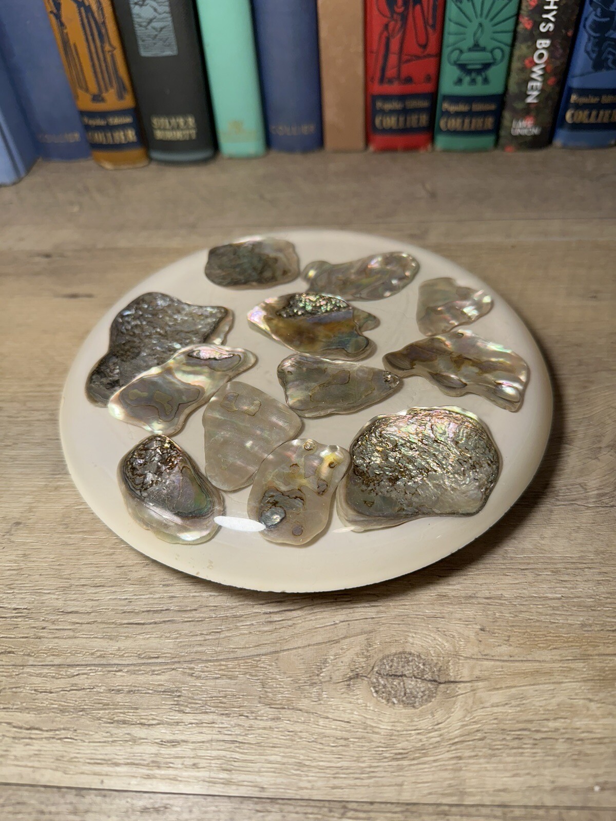 Vintage Lucite Acrylic Resin Abalone Shell Trivet Hot Cold Plate 5.5 ...