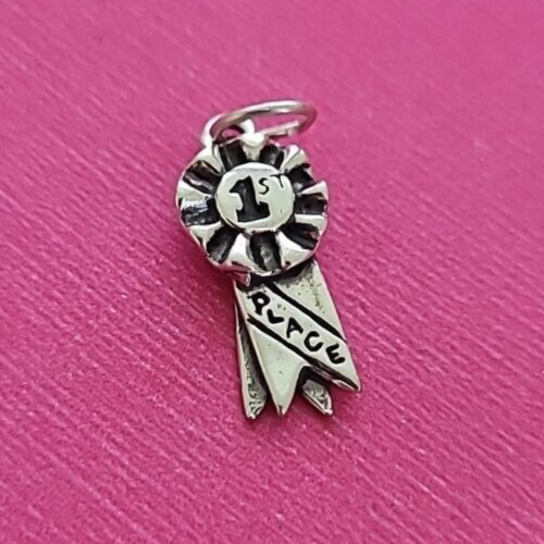 Sterling Silver 1st Place Award Ribbon Sports First 3D Charm Pendant ...