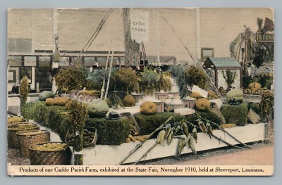 Caddo Parish Farm Products—Louisiana State Fair—Shreveport LA Antique ...