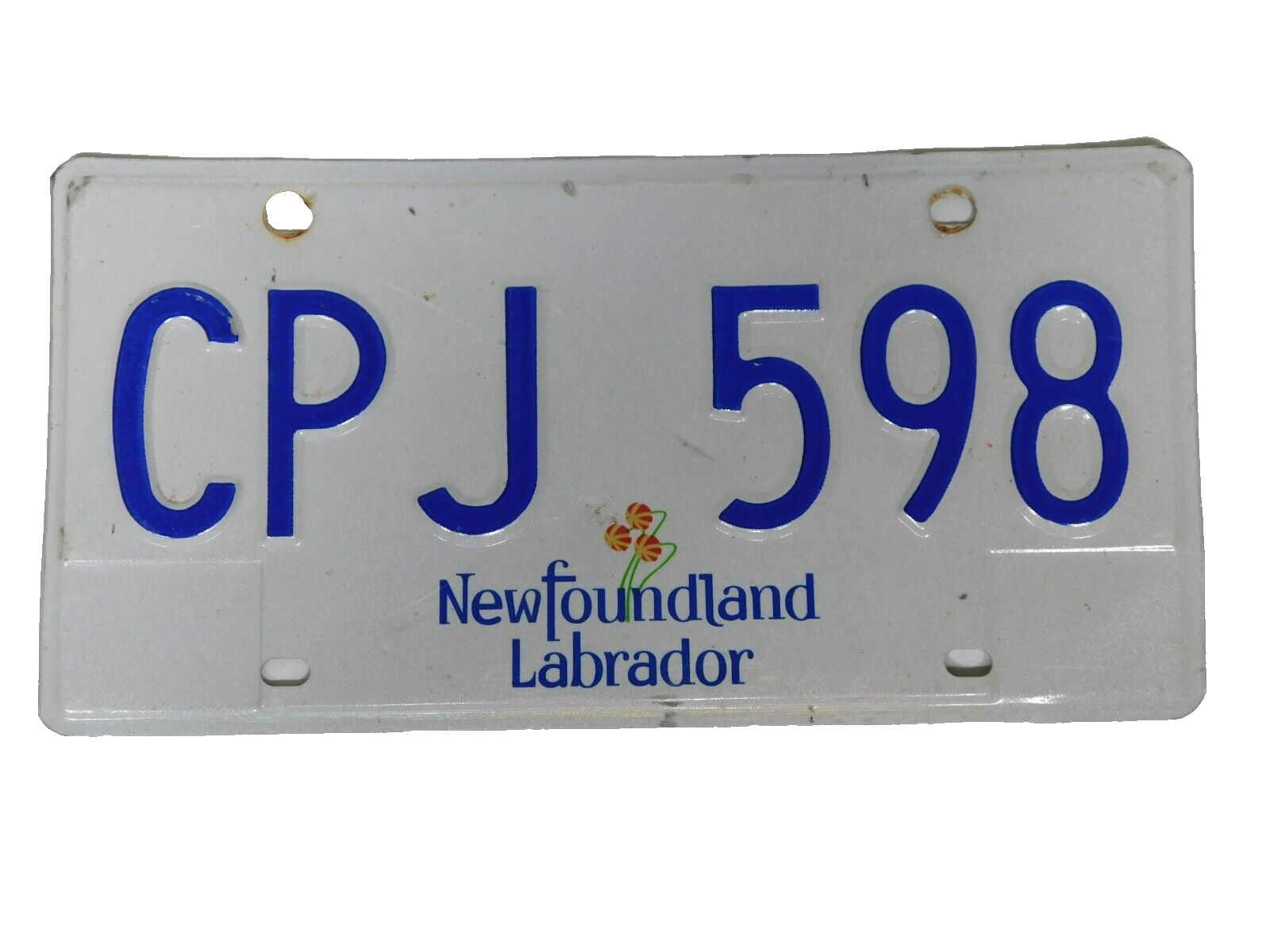 NEWFOUNDLAND LABRADOR LICENSE PLATE PICTURE PLANT CANADA SOUVENIR SIGN ...