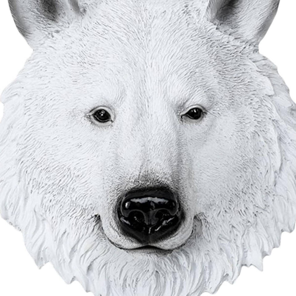 Bear Wall Hanging Animal Wall Decor Ornament Decorative | eBay UK