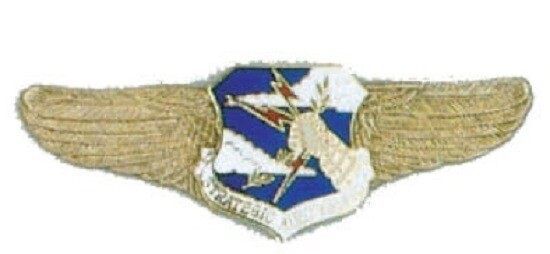 MILITARY HAT LAPEL PIN - AIR FORCE STRATEGIC AIR COMMAND WINGS PIN ...
