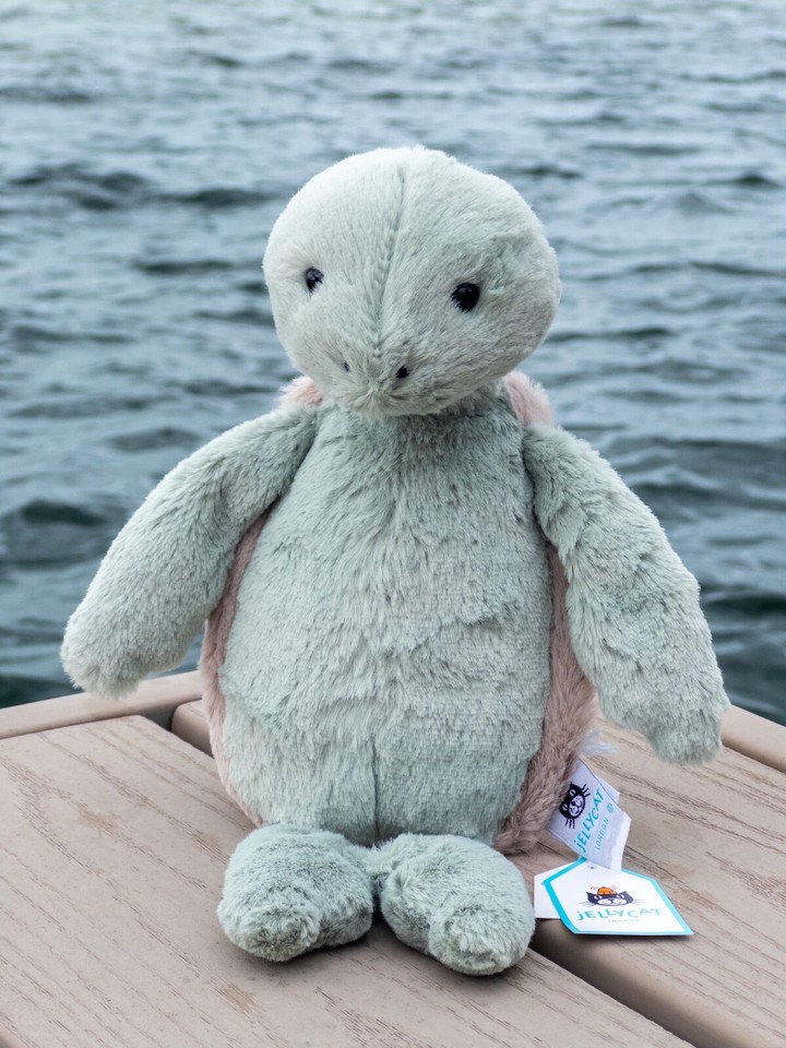 Jellycat Original Bashful Turtle - RARE- HTF - NWT - AUTHENTIC | eBay