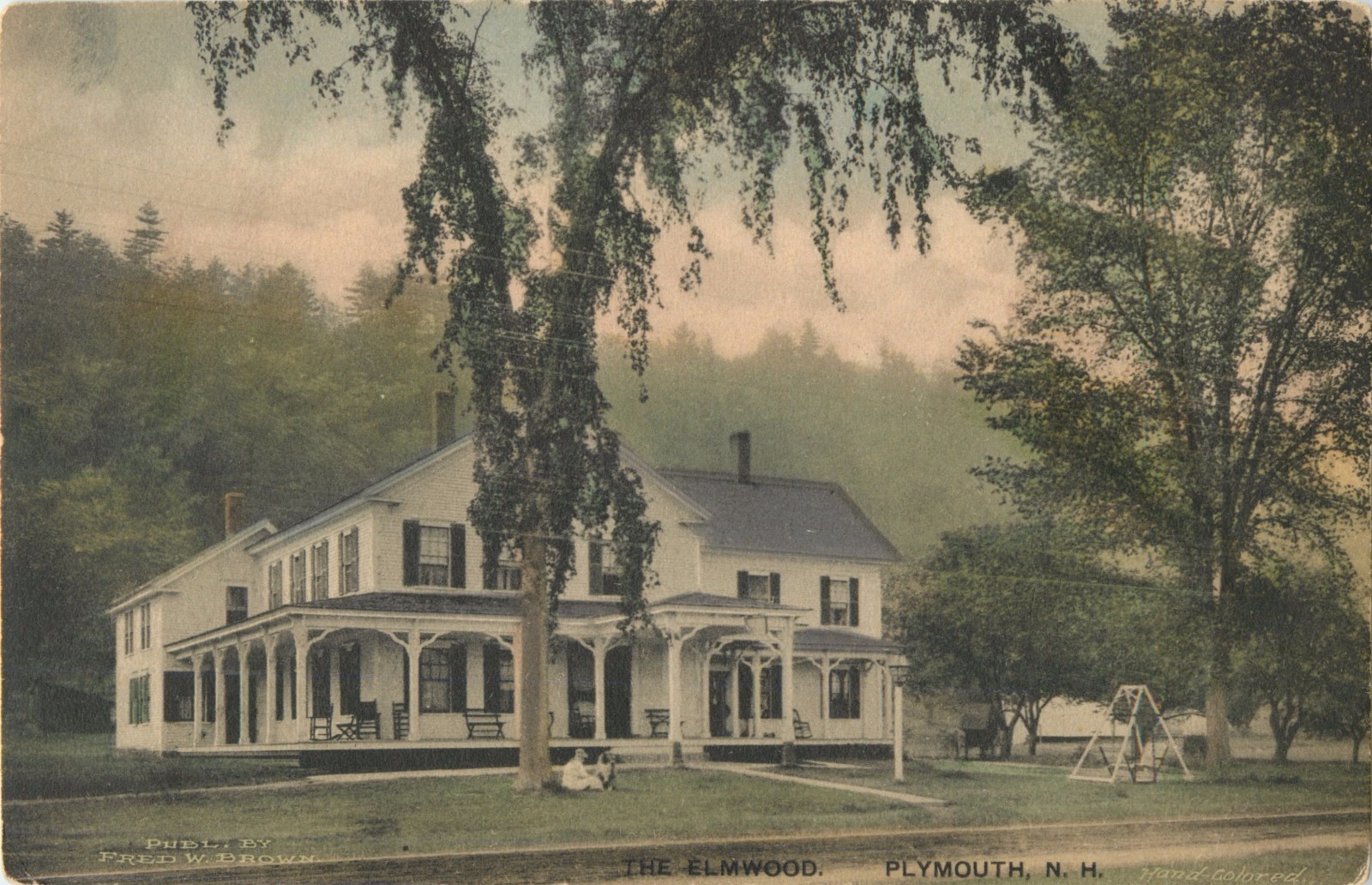 A View Of "The Elmwood", Huge Elm Tree, Plymouth, New Hampshire NH | eBay