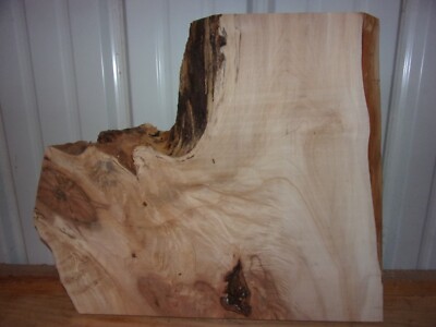1 PC SMALL RUSTIC MAPLE SLAB BOARD KILN DRIED LUMBER 1 1/8" THICK LOT ...