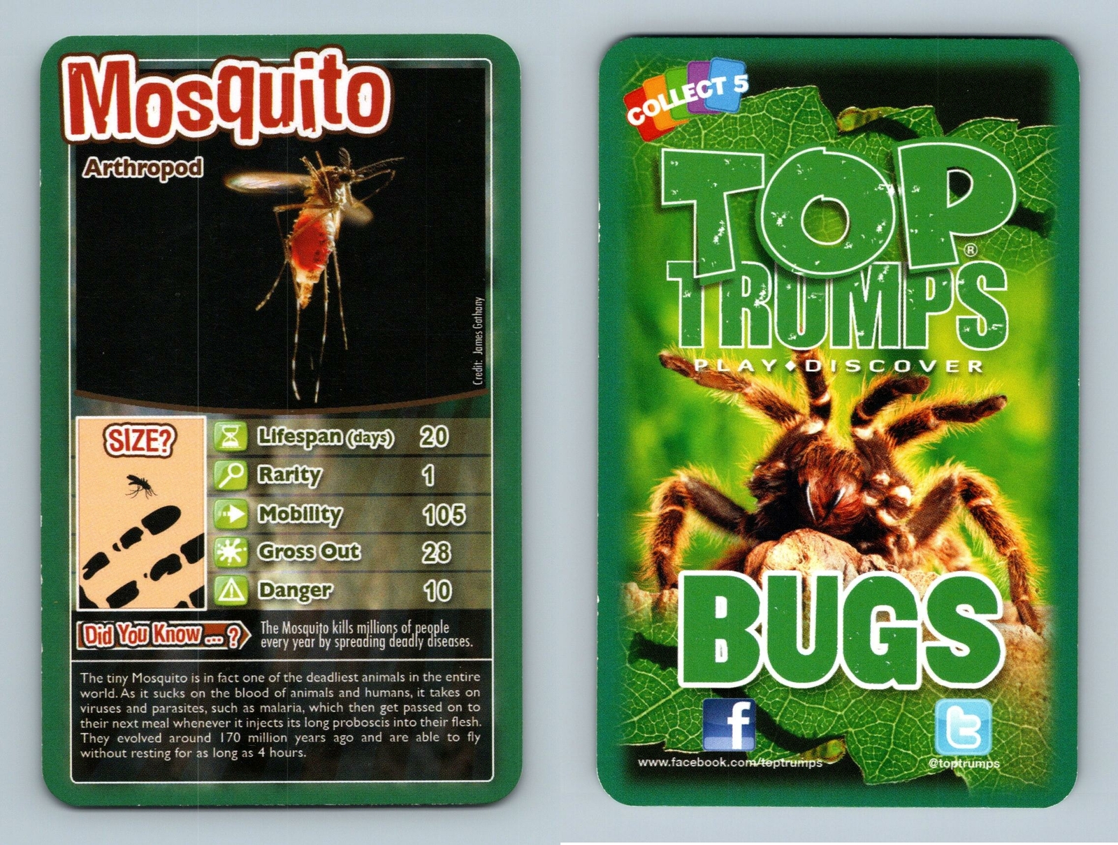 Mosquito - Bugs 2009 Top Trumps Card | eBay