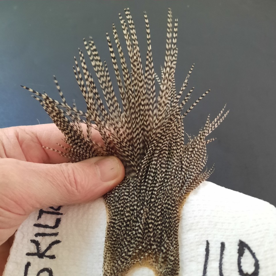 Grizzly Dry Fly Hackle Neck Cape Rooster Dry Fly Tying Feathers #110 | eBay