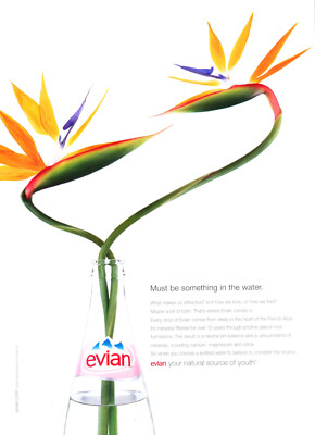 EVIAN WATER magazine AD #10 RARE 2005 OOP NATURAL SOURCE OF YOUTH ...