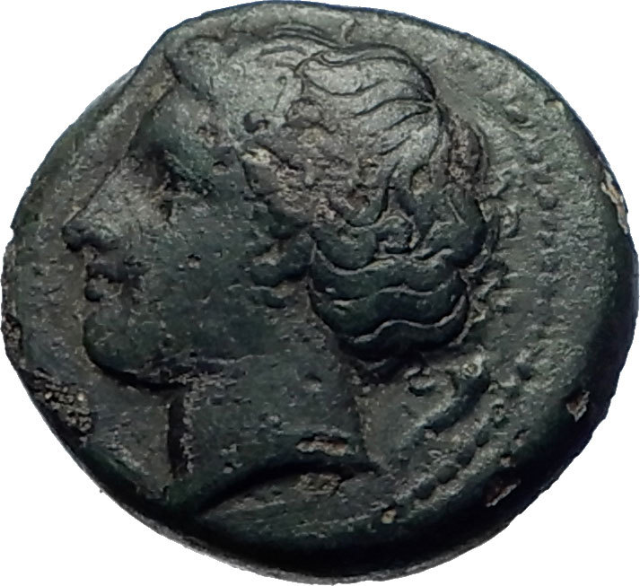 SYRACUSE Sicily 317BC Agathocles KORE BULL RARE Ancient Greek Coin ...