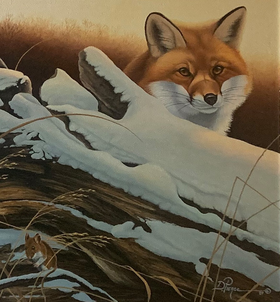 Daniel Renn Pierce Eyes on The Sly Foxes Original Acrylic Painting ...