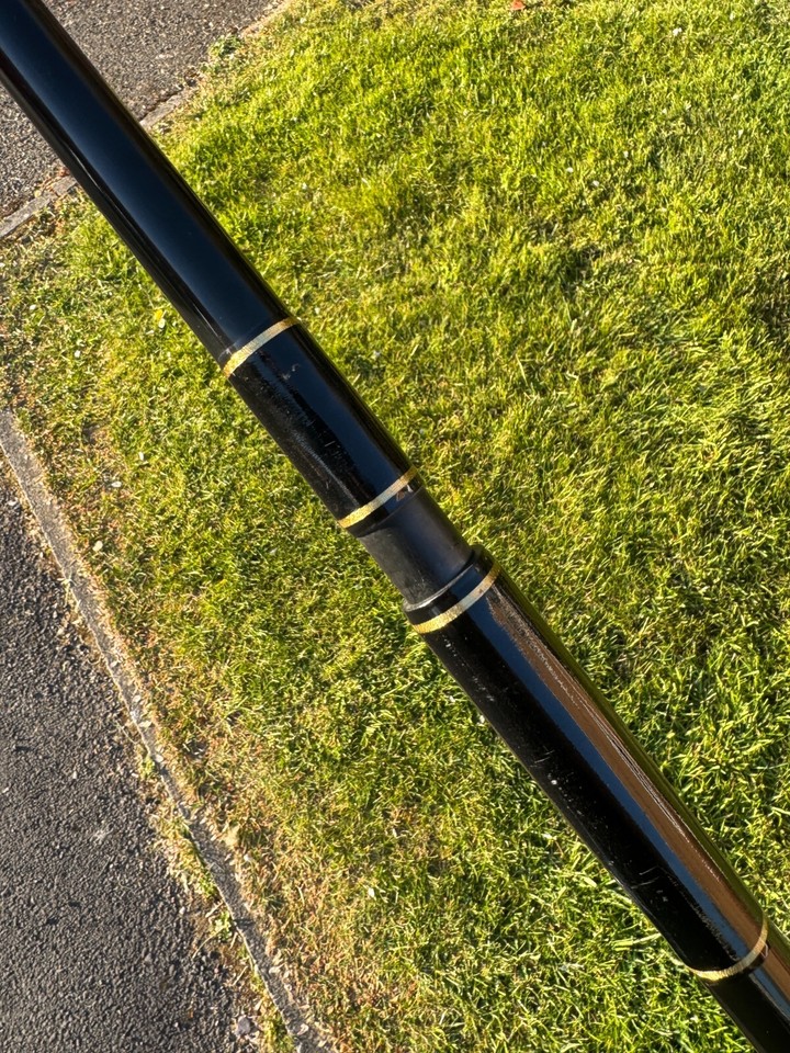 Zziplex M4 GT rare beach casting fishing rod collection only | eBay UK