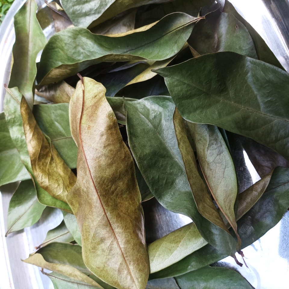 Dried Soursop Organic Natural Tea Leaves Graviola Hojas Guanabana ...