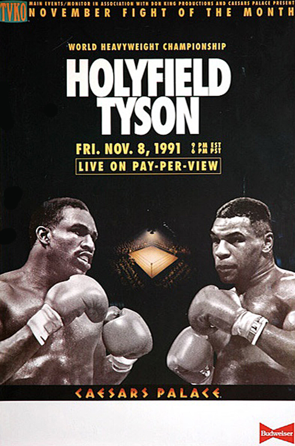 Mike Tyson Fight Poster