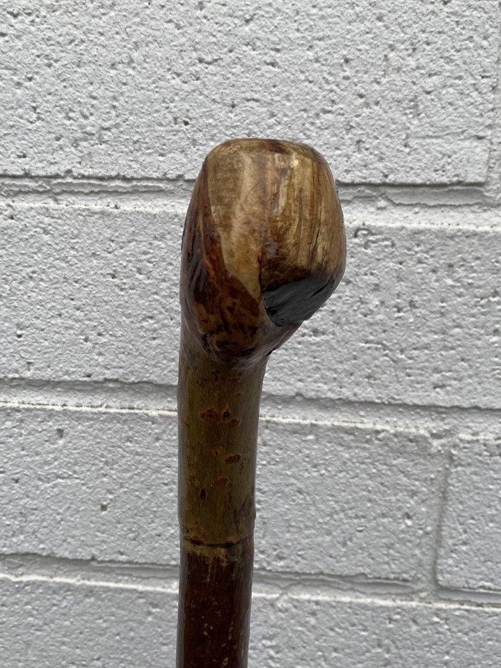 Handmade Hiking Stick made from Hazel with a Green Willow Pommel From ...