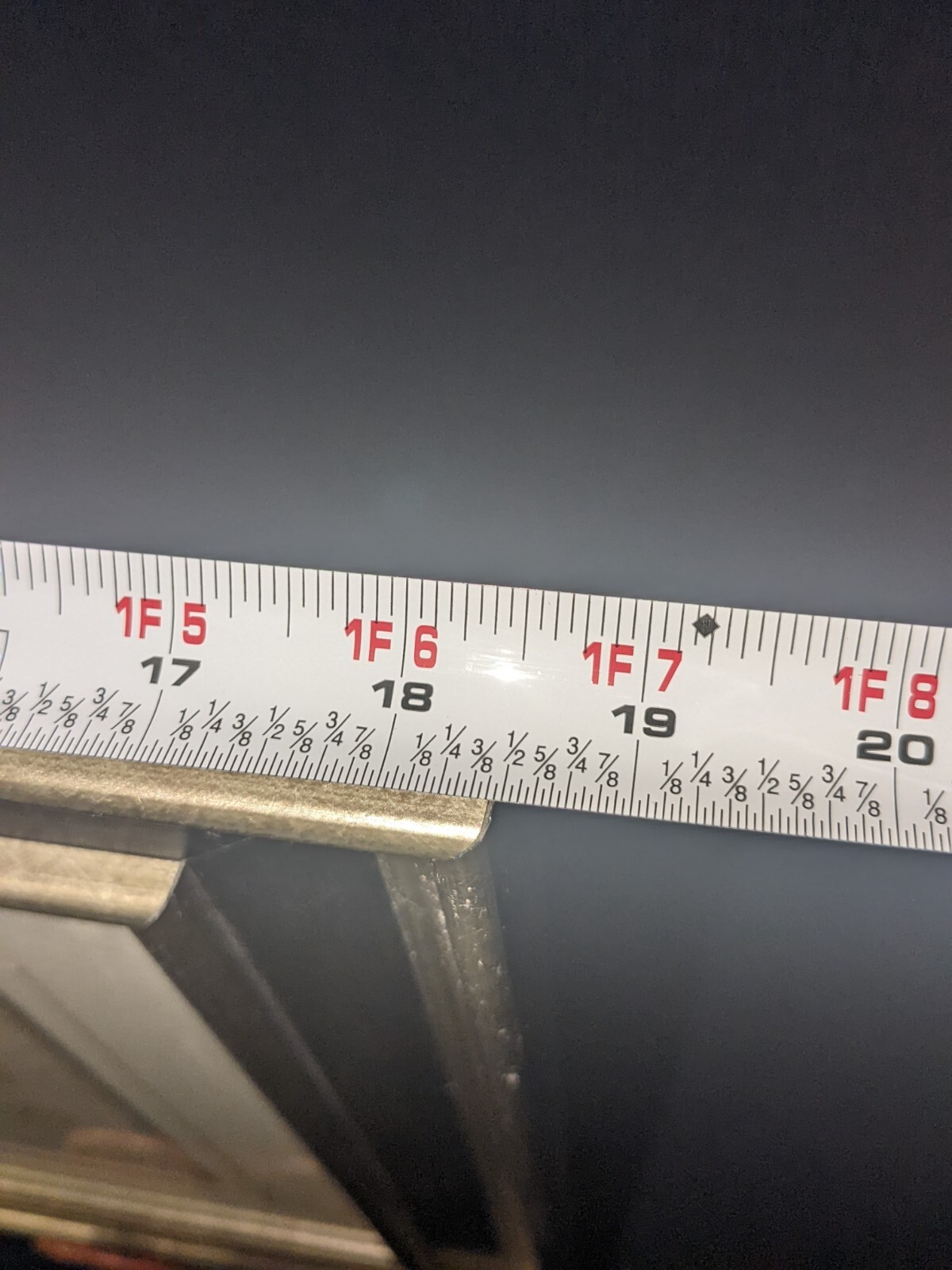 Framed Friendship Finch "Color Bird" art by Kahill Gibran | eBay