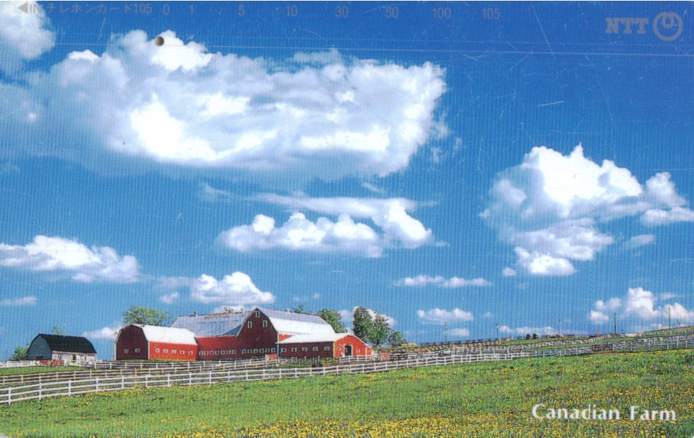 *4611 SCHEDA TELEFONICA PHONECARD USATA JAPAN 331-208 CANADIAN FARM | eBay