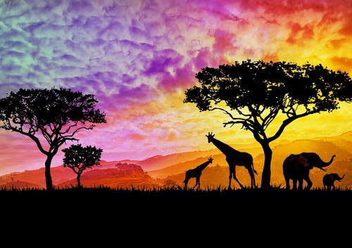 Awesome African Safari Poster Size A4 / A3 Wildlife Animal Poster Gift ...