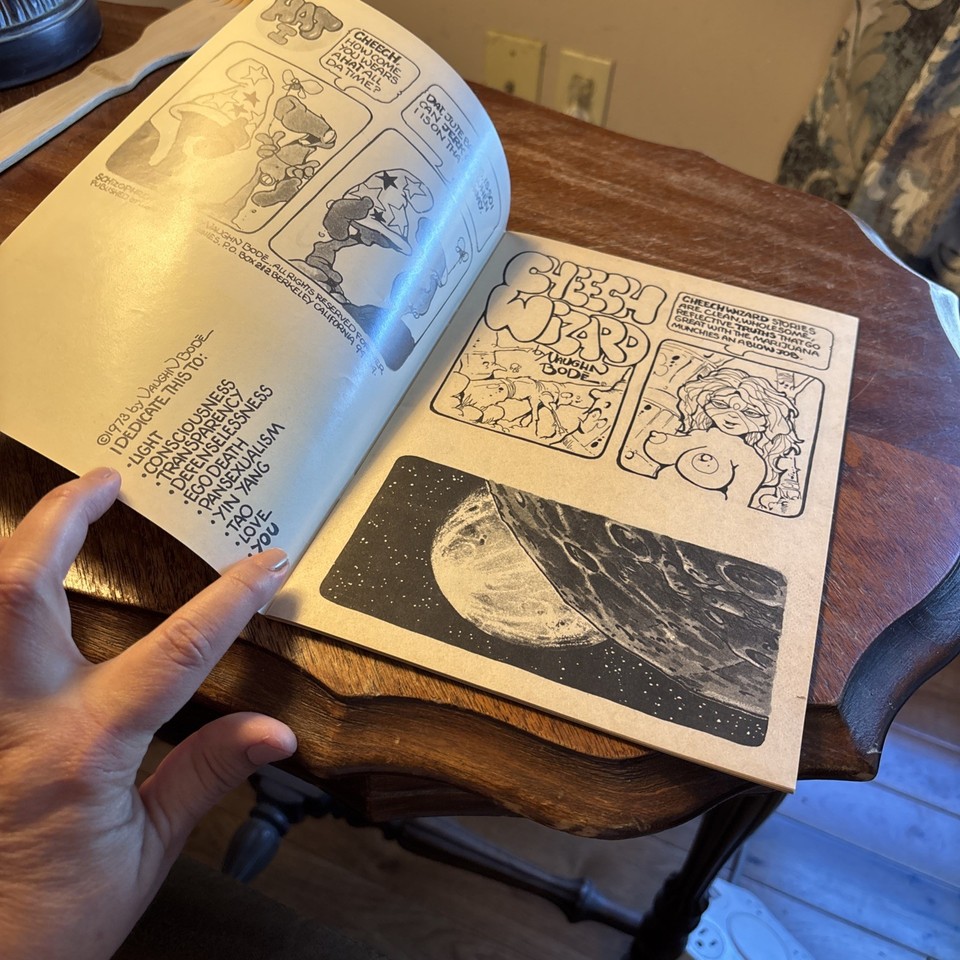 Cheech Wizard Schizophrenia Underground Comic 1973 Vaughn Bode' Comix ...