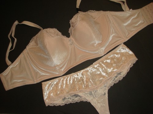 Victoria's Secret 36DD CORSET TOP BRA SET L thong beige VELOUR velvet ...