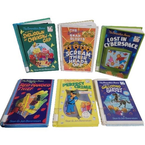 BERNSTEIN Bear Big CHAPTER Books LOT Of 6 HARDBACK ! Smoke FREE Home ...
