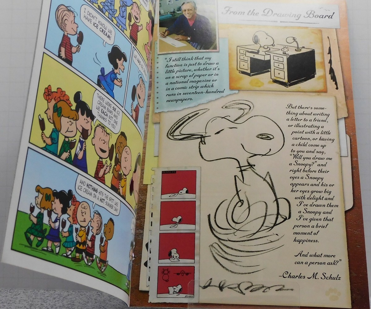 Comic Strip Snoopy Flying Ace