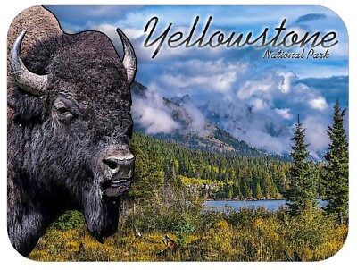 Yellowstone National Park with Bison Fridge Magnet | eBay