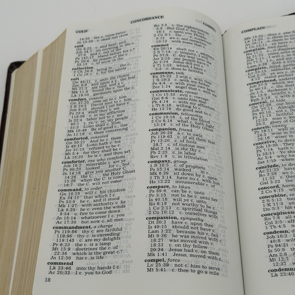 Giant Large Print Holy Bible KJV Concordance Brown 885CBG Nelson ...