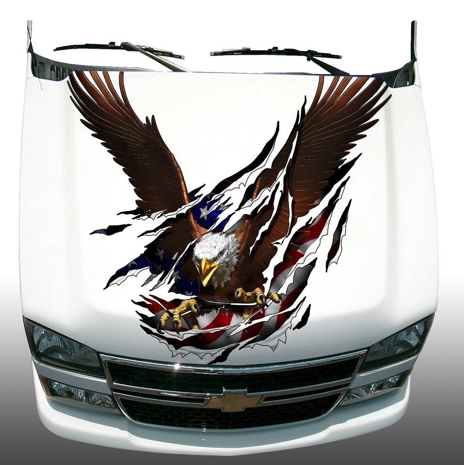 American flag eagle rip tear decal Camper RV motor home mural hood ...